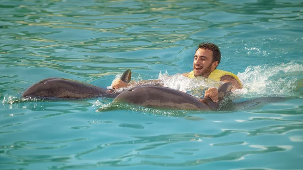Lugares para nadar con Delfines en Cancún y Riviera Maya